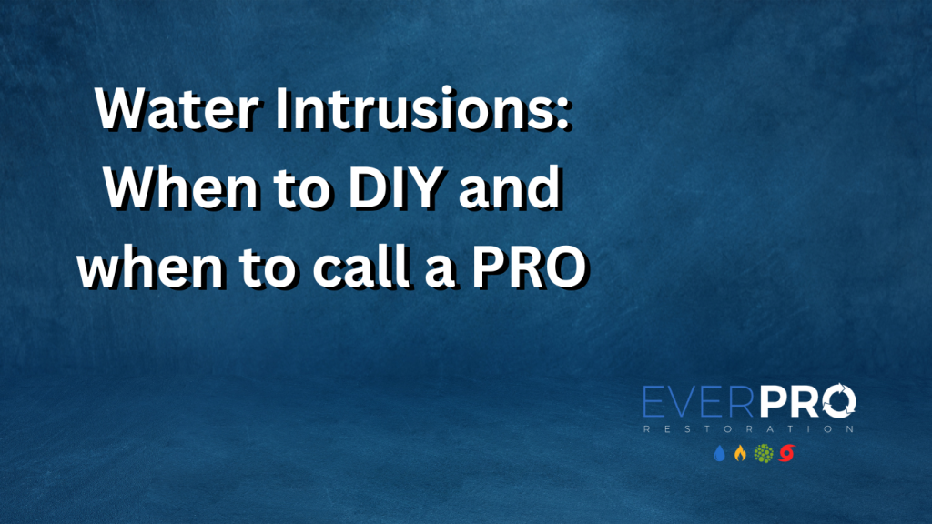 Water Intrusions: When to DIY and When to Call a Pro - EverPro Restoration